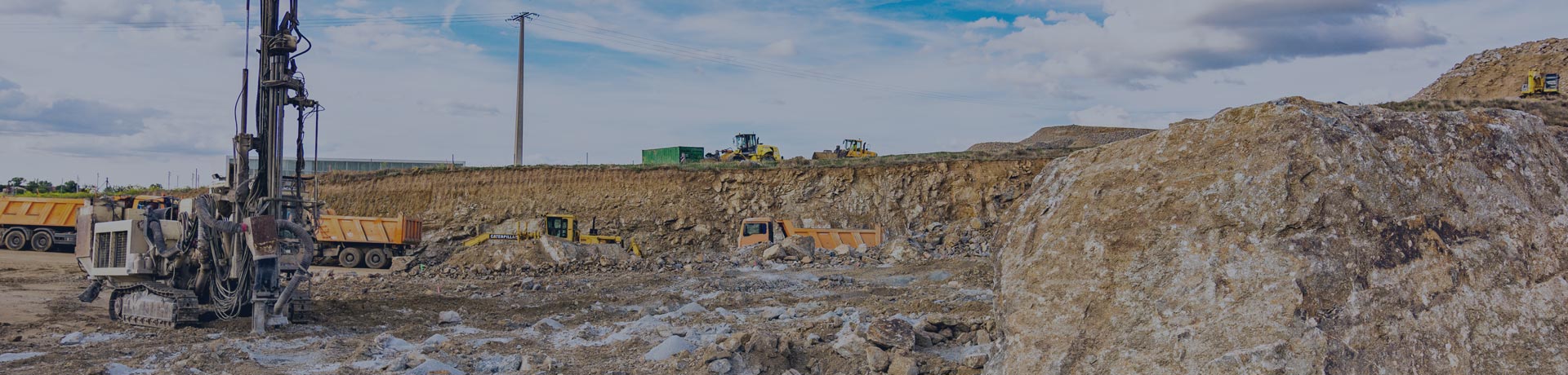 Geotechnical and geophysical tests