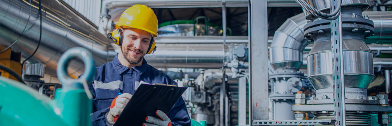 Regulatory inspection in industrial safety