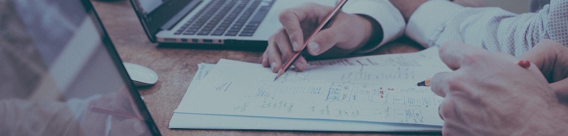 Telecommunications Project Management (PMO)