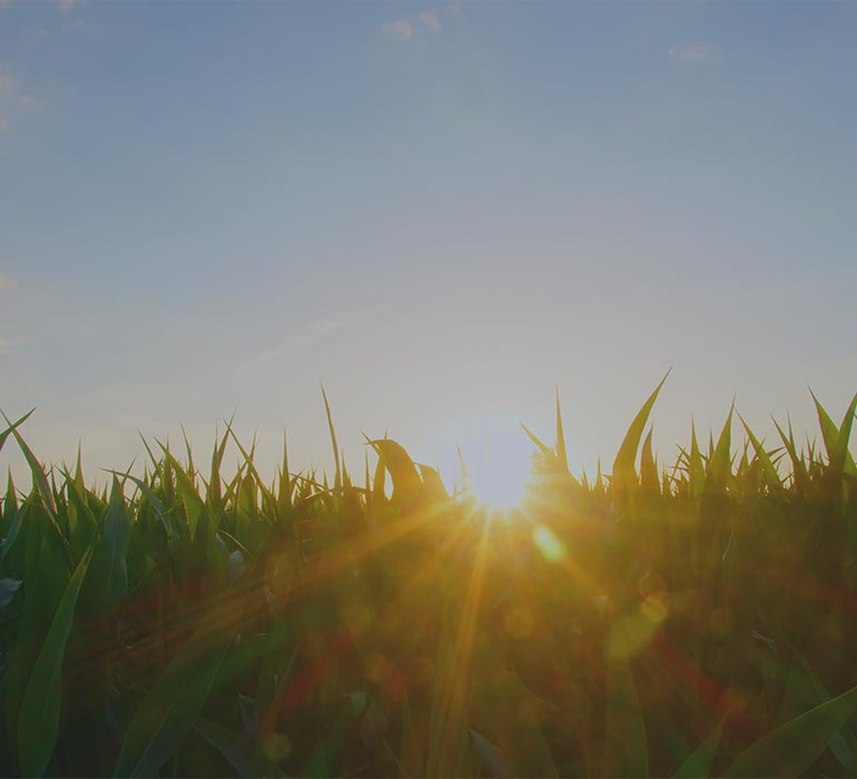 Curso de PRL construcción 20 horas: Responsables de obra y técnicos de ...