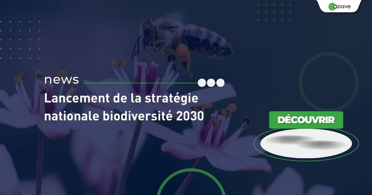 Lancement de la stratégie nationale biodiversité 2030