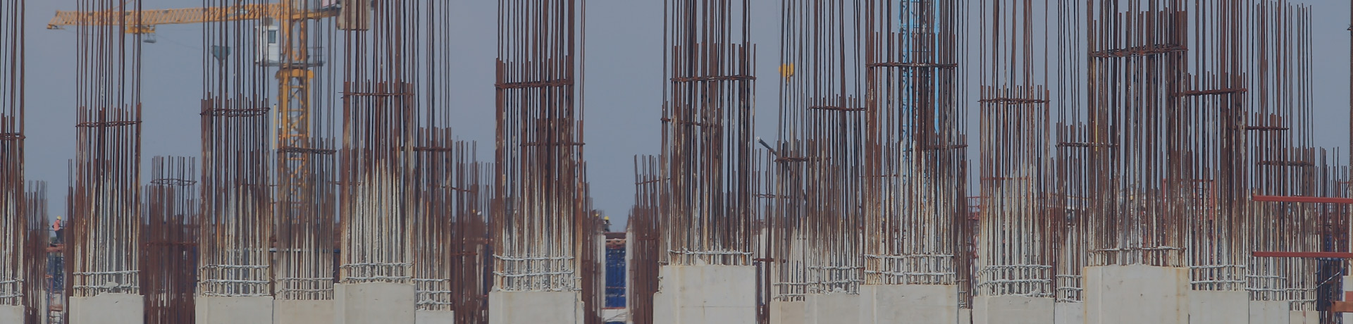 Inherent Defects Insurance (IDI) Program