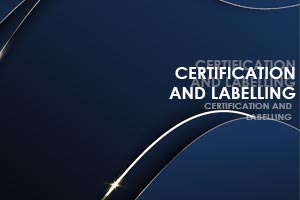 ASME Certification