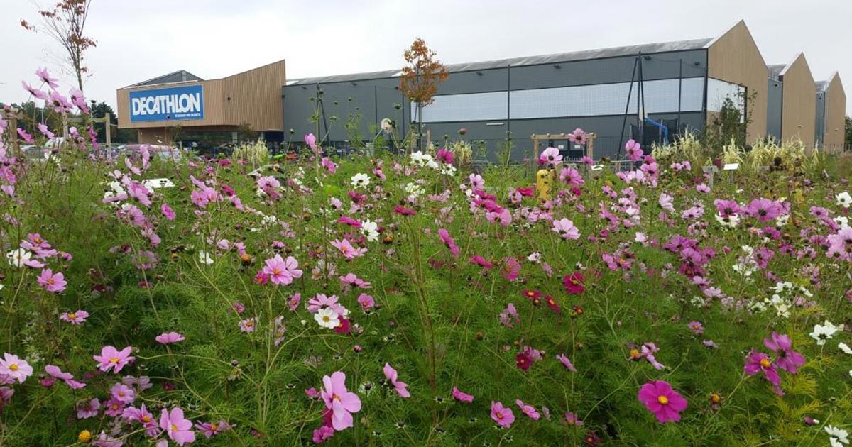 Signature Biodiversity® Label at the heart of positive biodiversity at ...