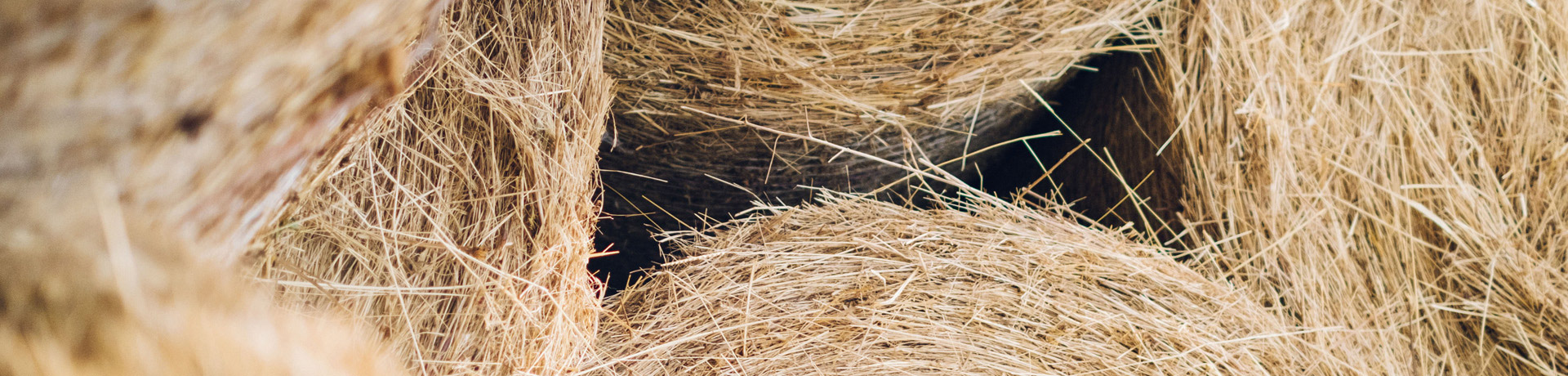 Straw bale thermal insulation Paris Habitat commissions Apave