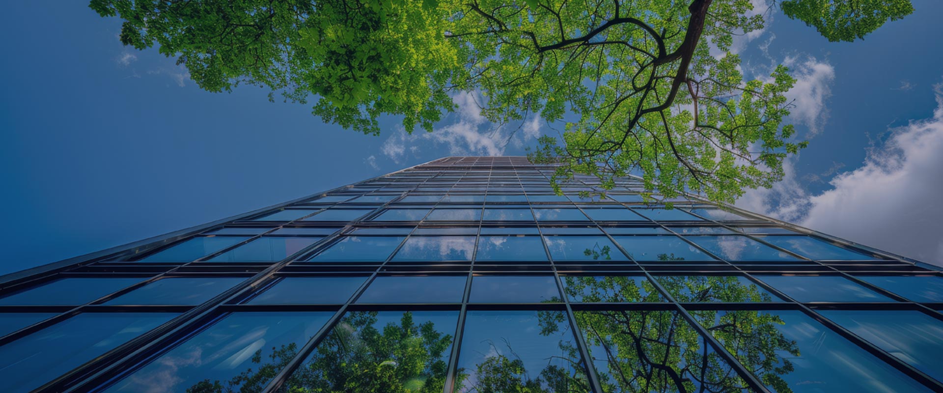 Apave Group - Manage risks for more than 150 years