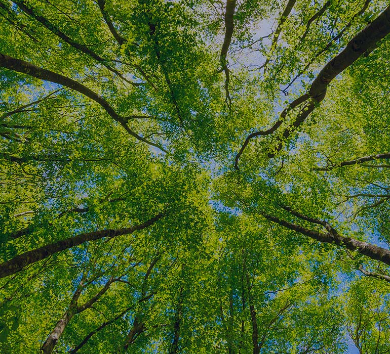 Contacter Apave France